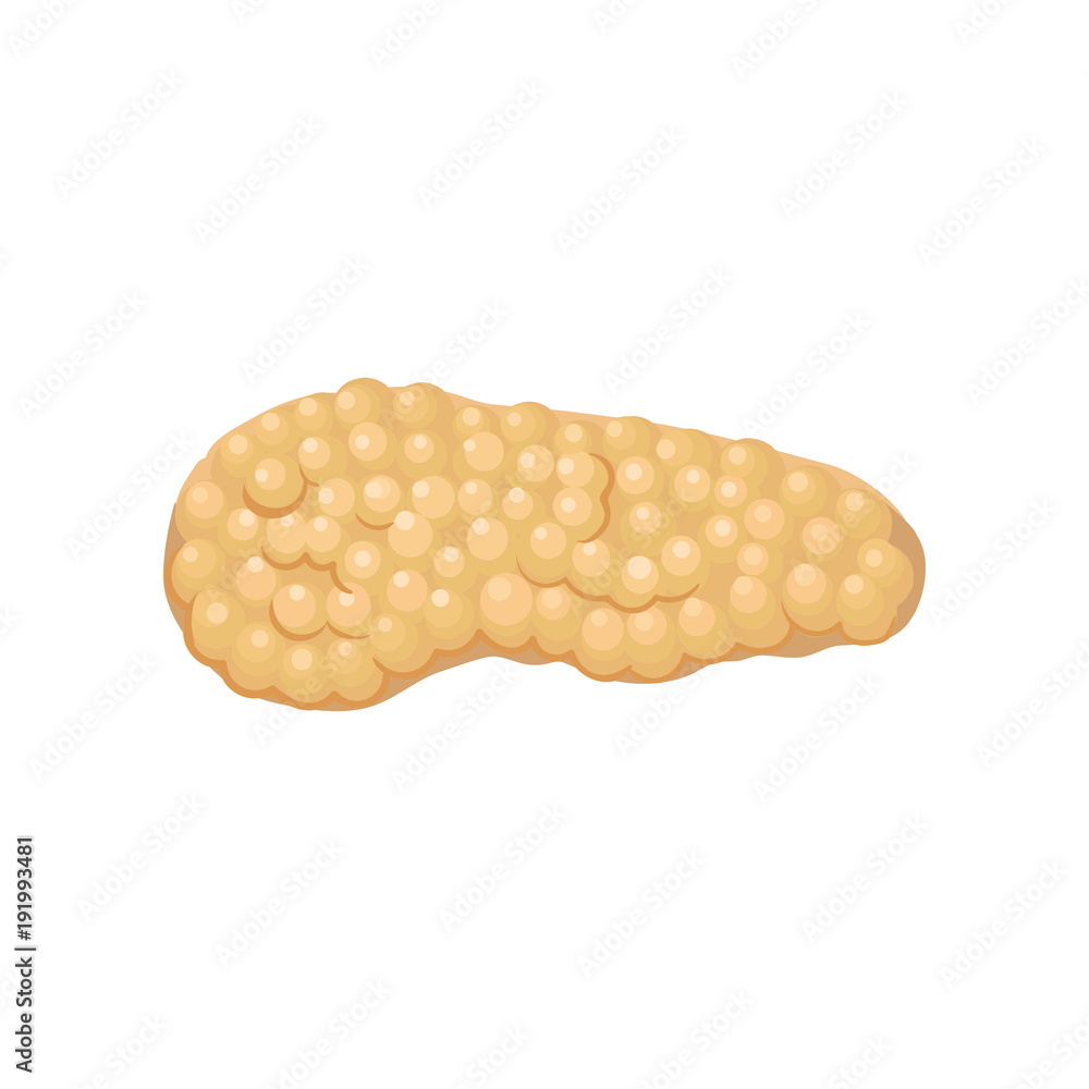 Structure of pancreas. Human internal organ. Concept of digestive and ...