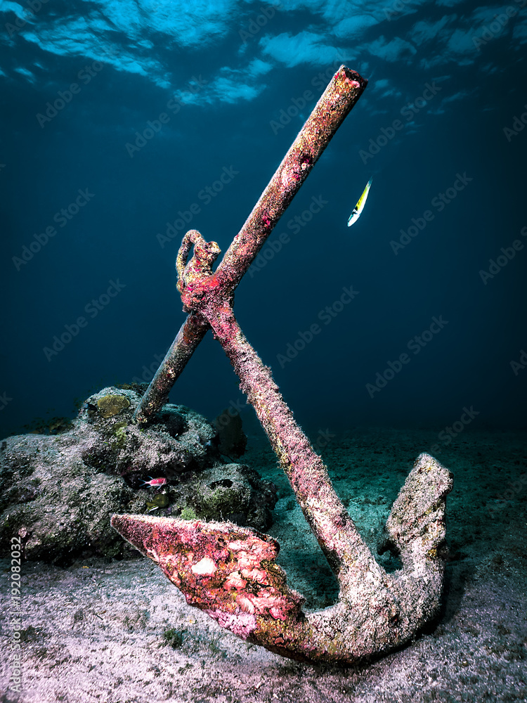 Real Anchor Underwater