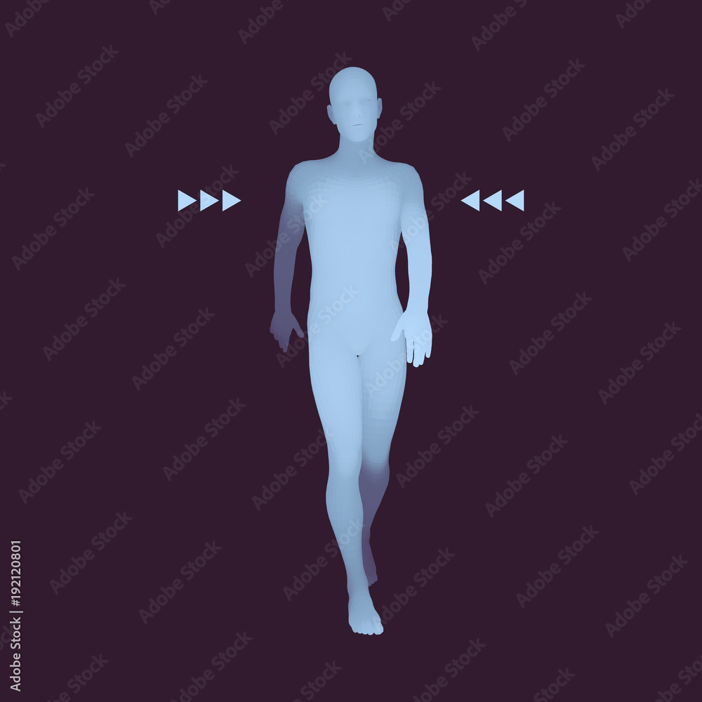 Walking Man. 3D Human Body Model. Design Element. Vector Illustration ...