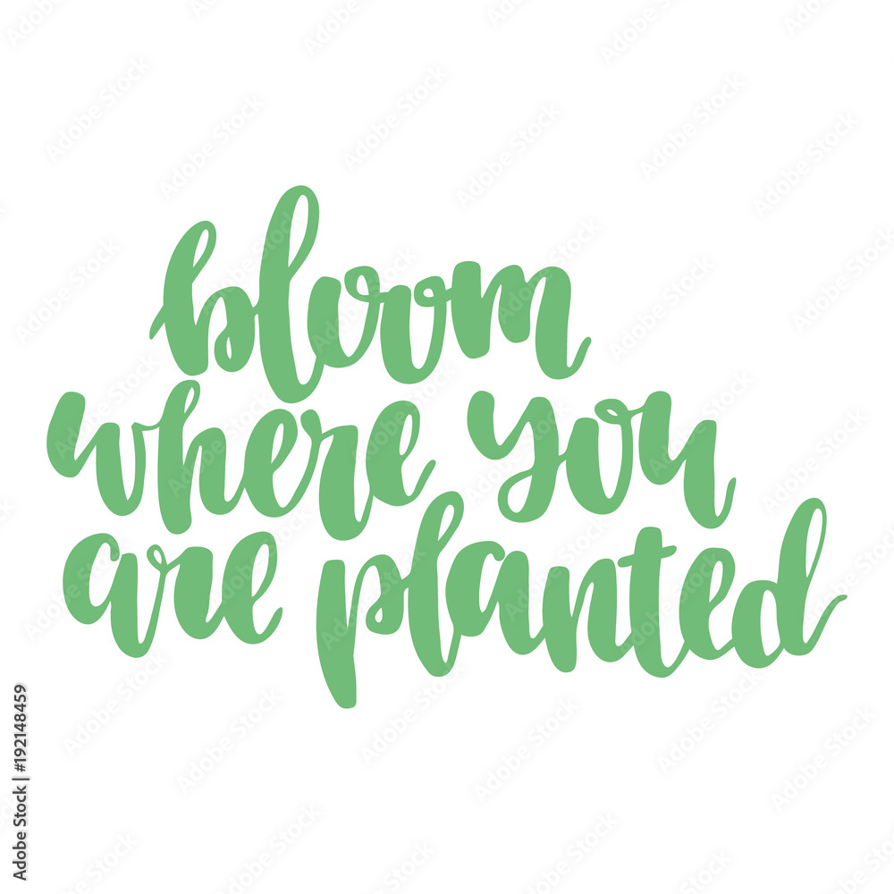 Hand drawn lettering quote - Bloom where you are planted. Modern ...