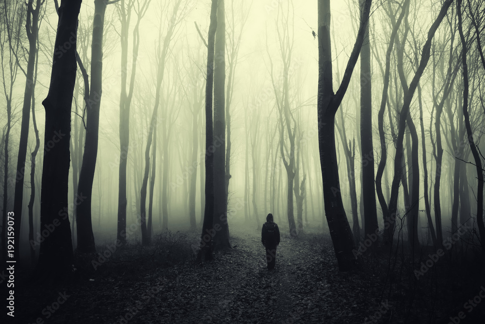 Mysterious Man Into The Woods