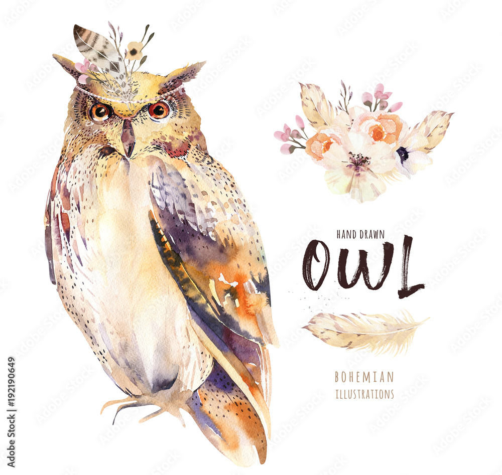 Watercolor owl with flowers and feather. Hand drawn isolated owls ...
