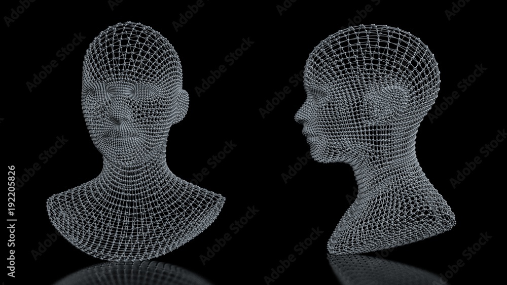 3D illustration of female head wireframe in front and side views Stock ...