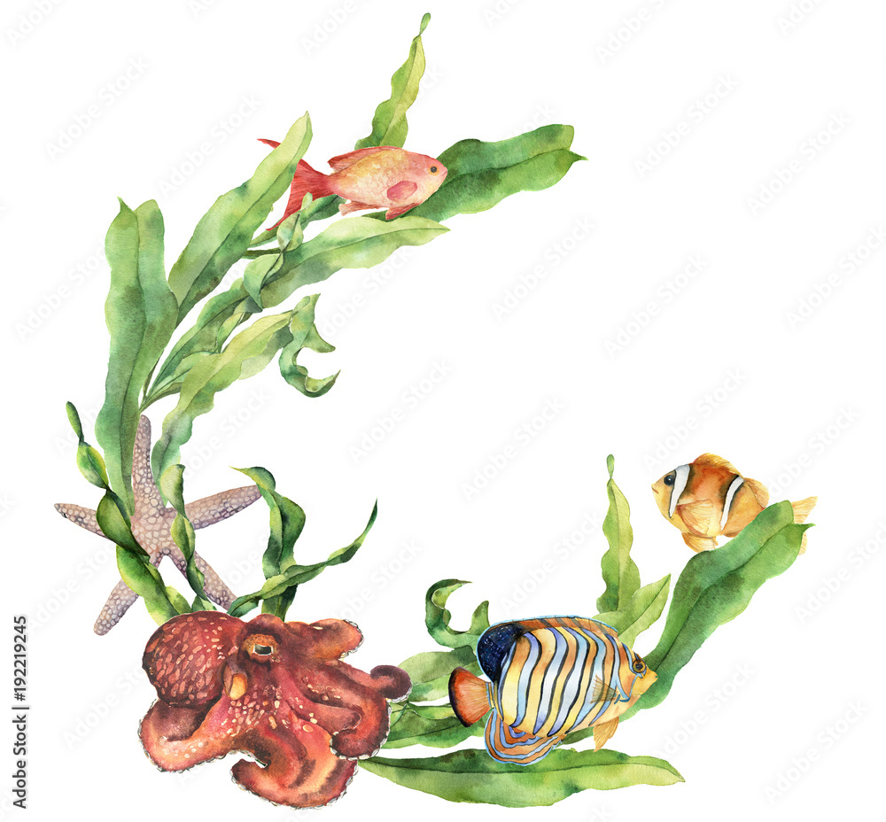 Watercolor nautical border with octopus. Hand painted underwater ...