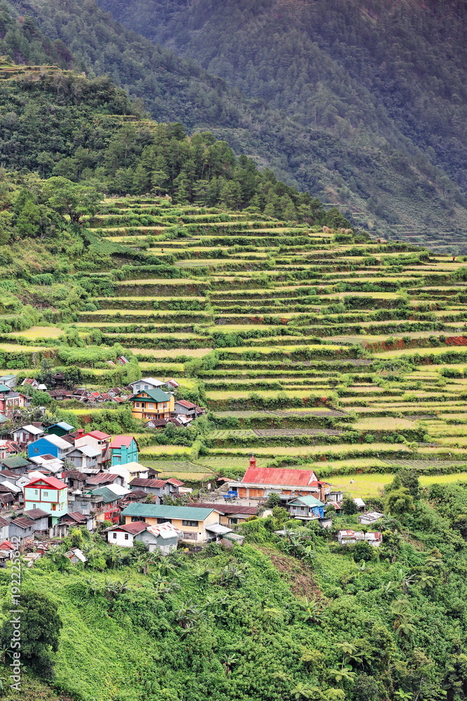 Rice terraces in Bay-yo barangay. Bontoc municipality-Mountain province ...