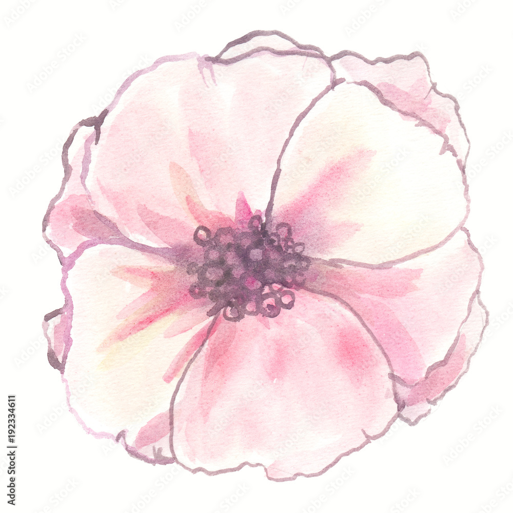 Single Big Pink Flowers