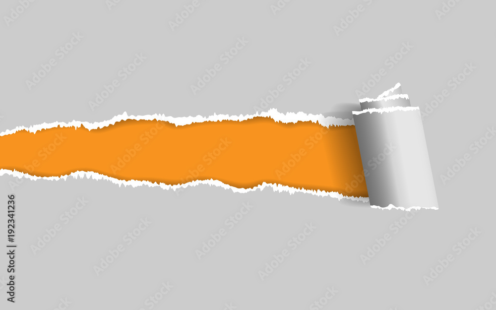 Ripped paper. Vector of ripped paper. the paper was ripped background ...