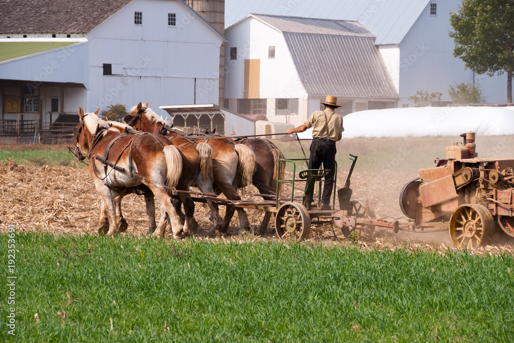 Amish Man Working Field Stock-Foto | Adobe Stock Amish Man Working Field Stock-Foto | Adobe Stock