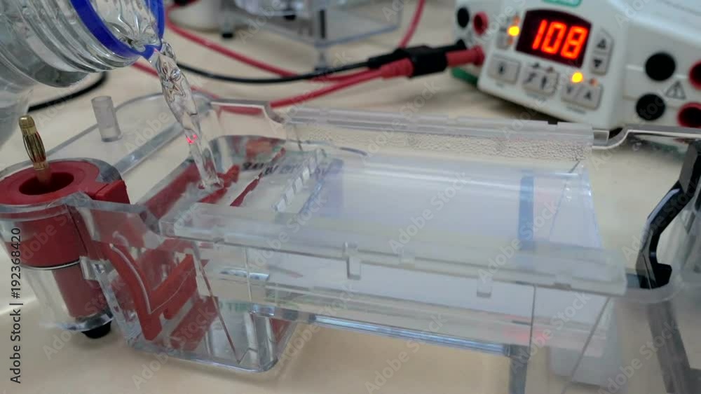 Adding a buffer to the electrophoresis chamber. Add a buffer. Camera ...