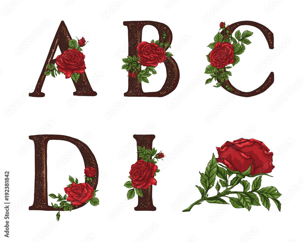 Red Roses letters. Hand draw. Vector alphabet Stock Vector | Adobe Stock