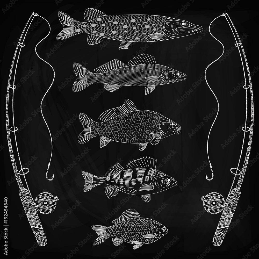 Sketch on a theme fishing, a river fish, fish tackles. River fish are ...