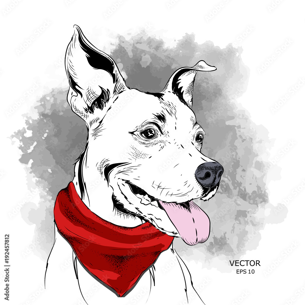 Cowboy Dog Drawing