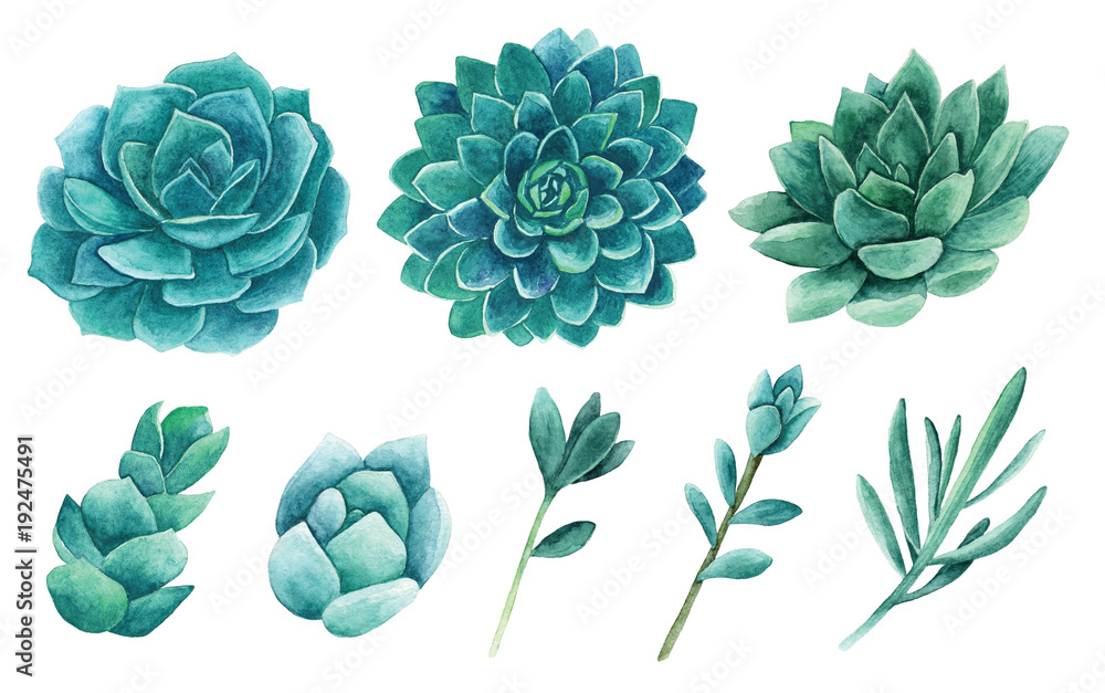 Watercolor succulents clip art. Cactus clipart set Stock Illustration ...