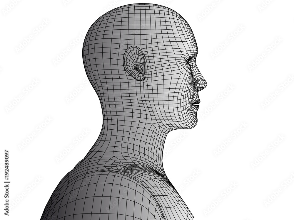 Human Head 3d Vector