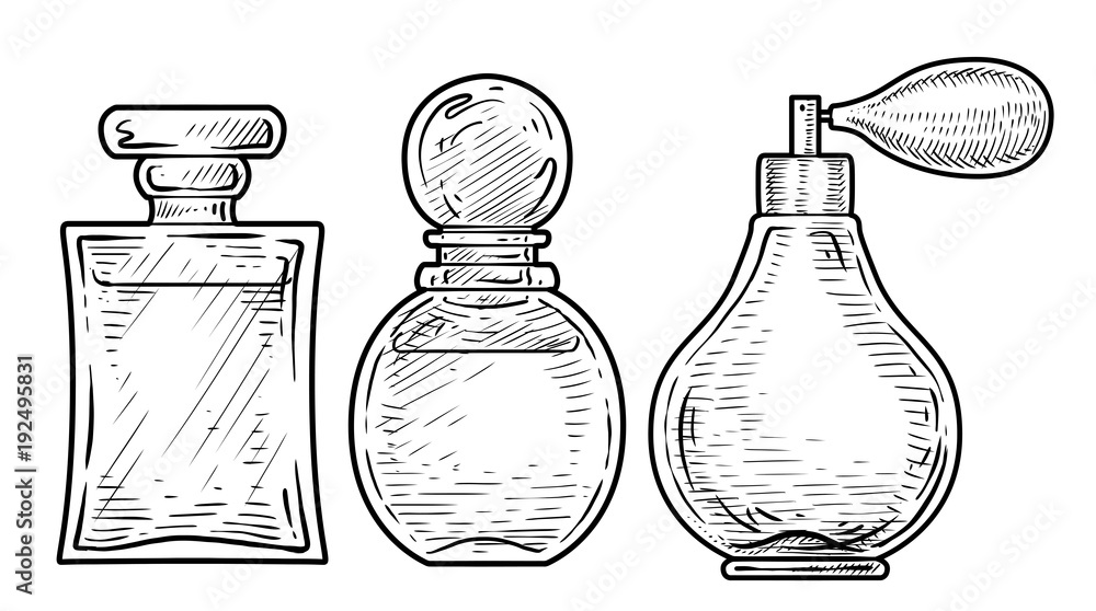 Perfume bottles illustration, drawing, engraving, ink, line art, vector ...