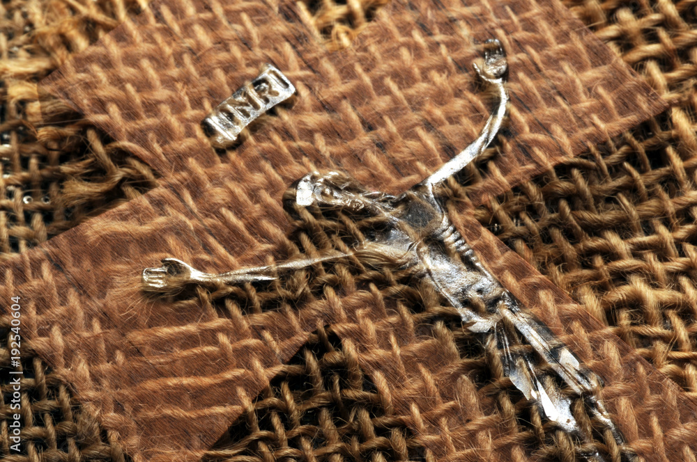 Giê-su Jesús de Nazaret Jesus Christus Gesù ישו Cristo Yesu Ježíš ...