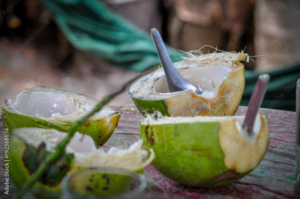 Endosperm Coconut