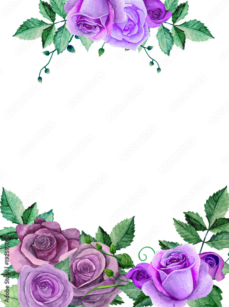 Watercolor roses. Purple flowers bouquet. Greeting card design template ...