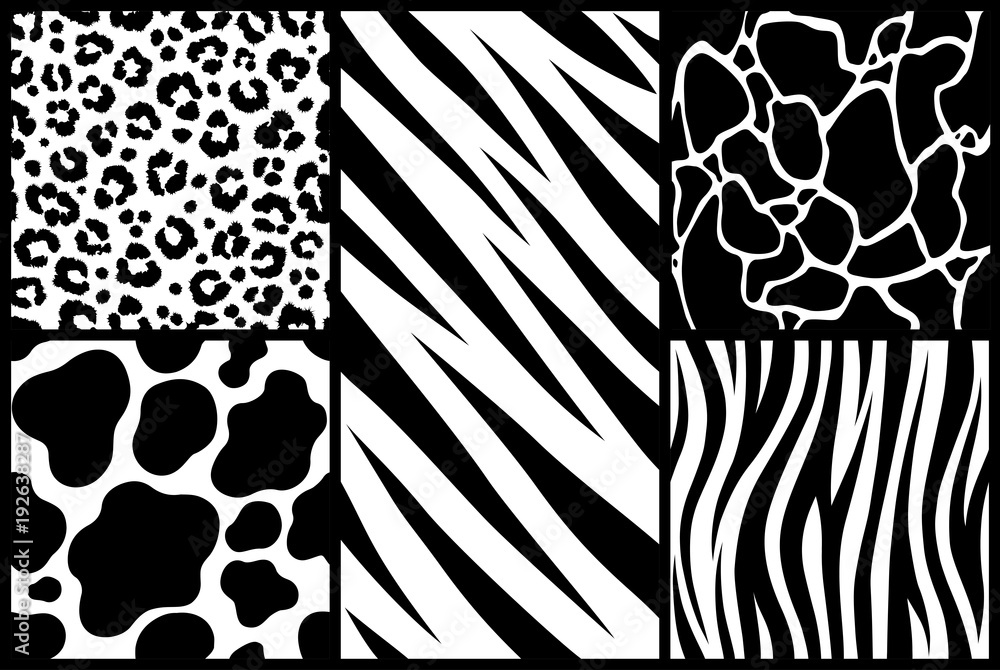 African Animal Skin Patterns
