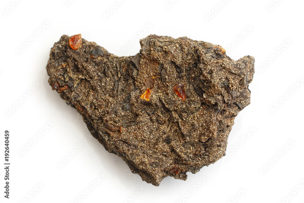Rare rock sample of ground from the Taimyr Peninsula with pieces of ...