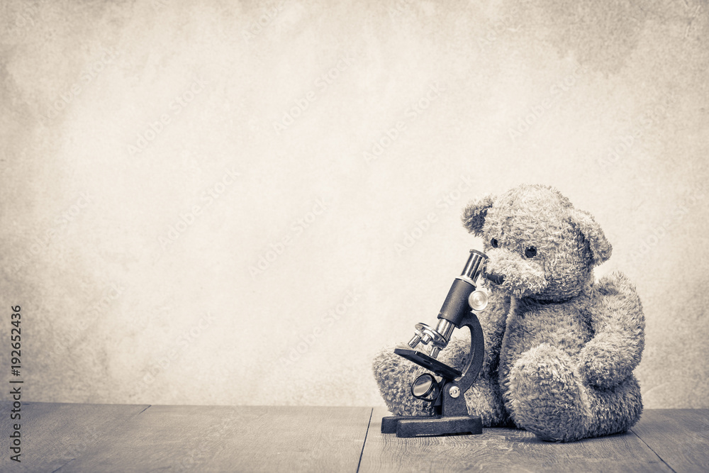Retro Teddy Bear with laboratory microscope front concrete wall ...