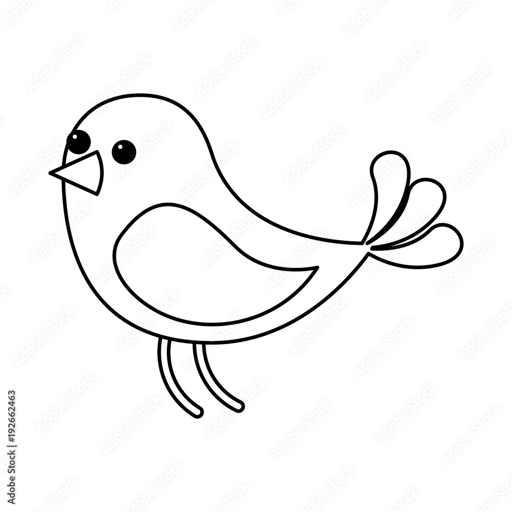 Cute Bird Outline