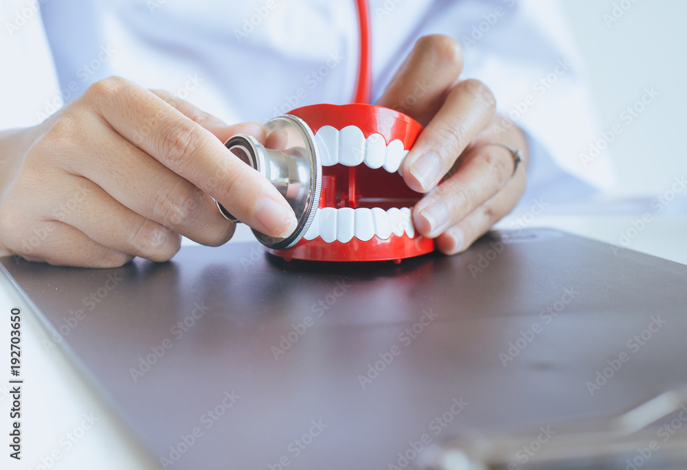 Dentist diagnose plastic teeth models with stethoscope,Concept of ...