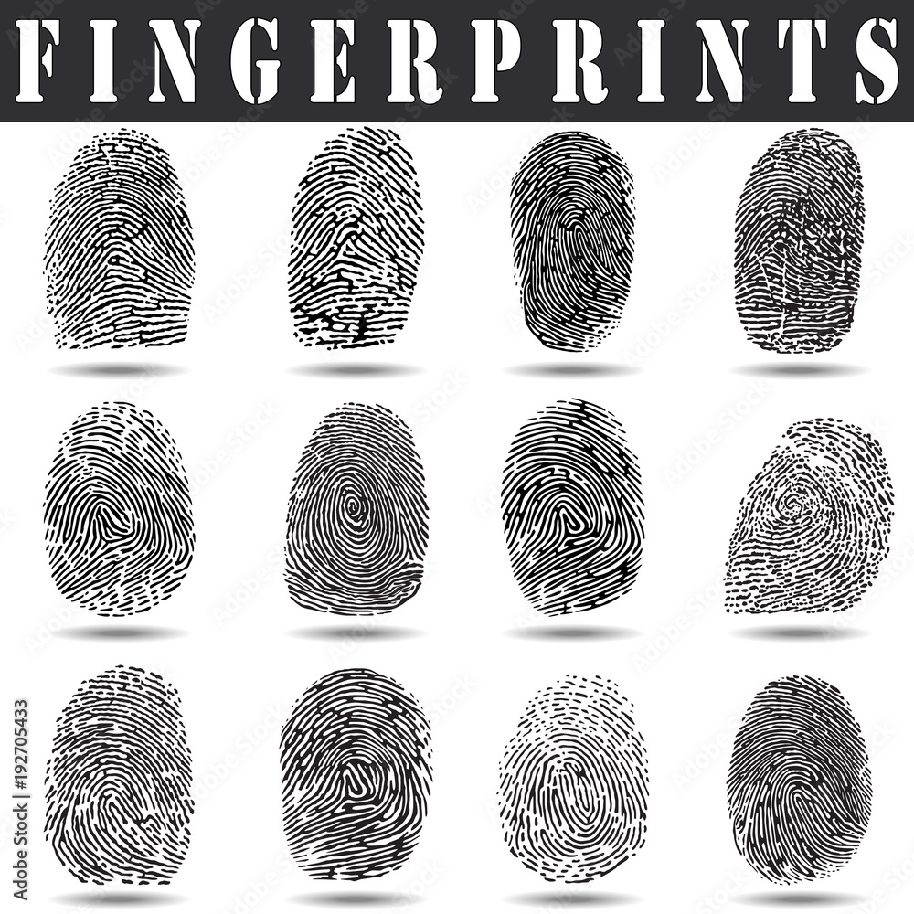 fingerprint vector illustration.fingerprint scan Stock Vector | Adobe Stock