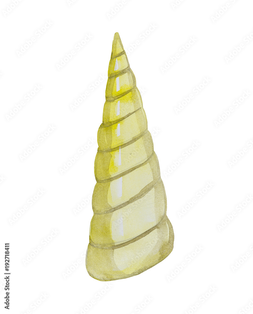 Watercolor stylized spiral shell, an element for compositions ...