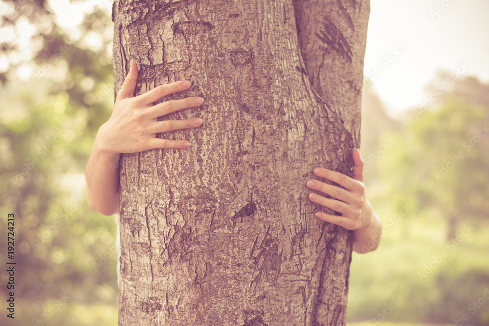 Love nature concept, woman give a hug behind tree,Tree hugging. Close ...