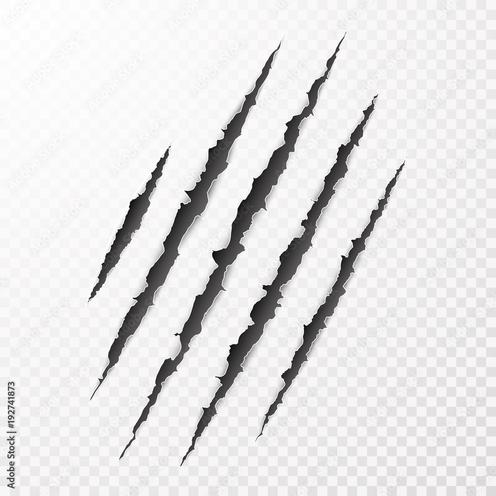 Scary leceration paper surface. Wild animal claws scratch texture. Torn ...