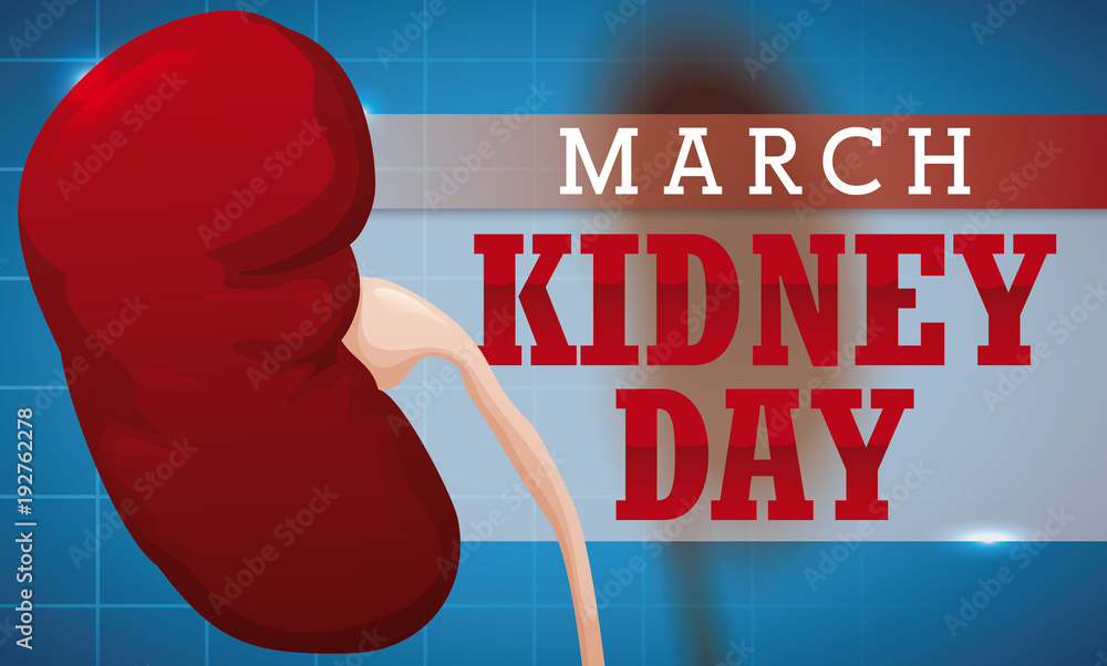 Healthy Kidneys Over Medical Exam and Sign for Kidney Day, Vector ...