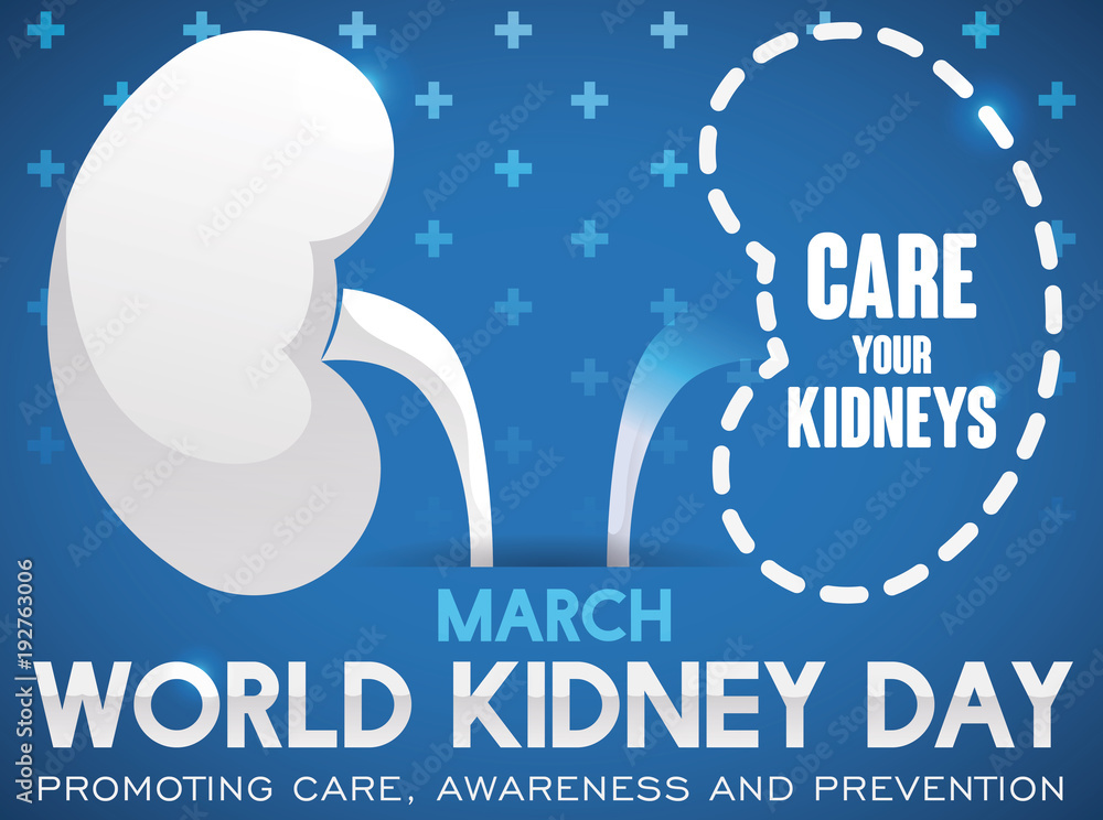 Design for Kidney Day Promoting the Importance in Kidney Care, Vector ...