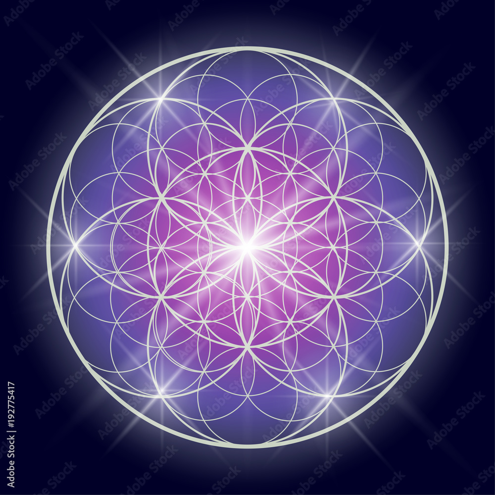 Flower of life or Pattern of Creation. Sacred geometry illustration ...