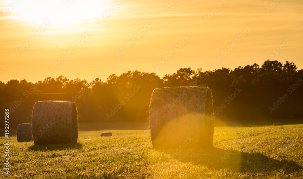 hay bails in farm field landscape scene background images Stock Photo ...