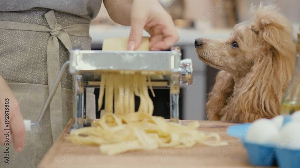 Cinemagraph - Woman's hands use a pasta cutting machine. The dog looks ...