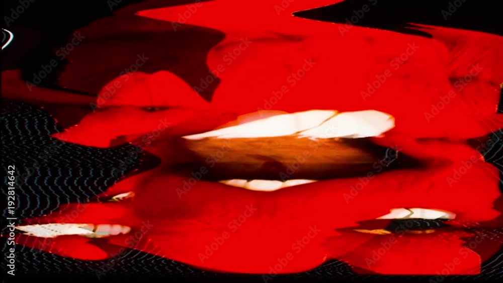 Vidéo Stock sequence of different images of woman's beautiful full red ...