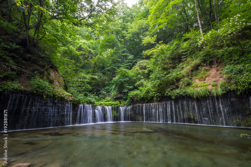 Foto de Shiraito Falls (Shiraito-no-taki) 3 Meters height waterfall but ...