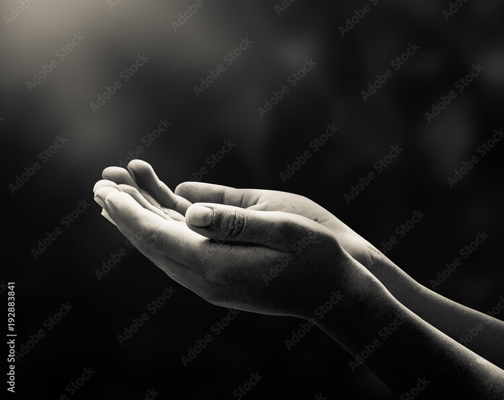 Human open empty hand Stock Photo | Adobe Stock