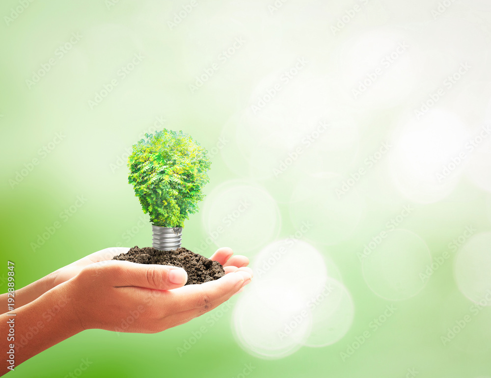 World environment day concept: Human hand holding light bulb of tree on ...