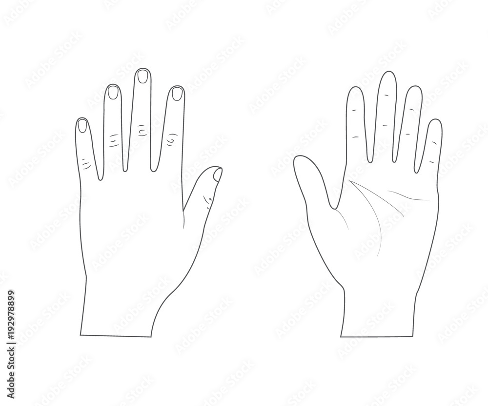 Hand Outline Vector