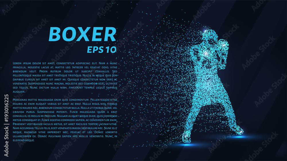 The box consists of the particles. Boxer consists of dots and circles ...