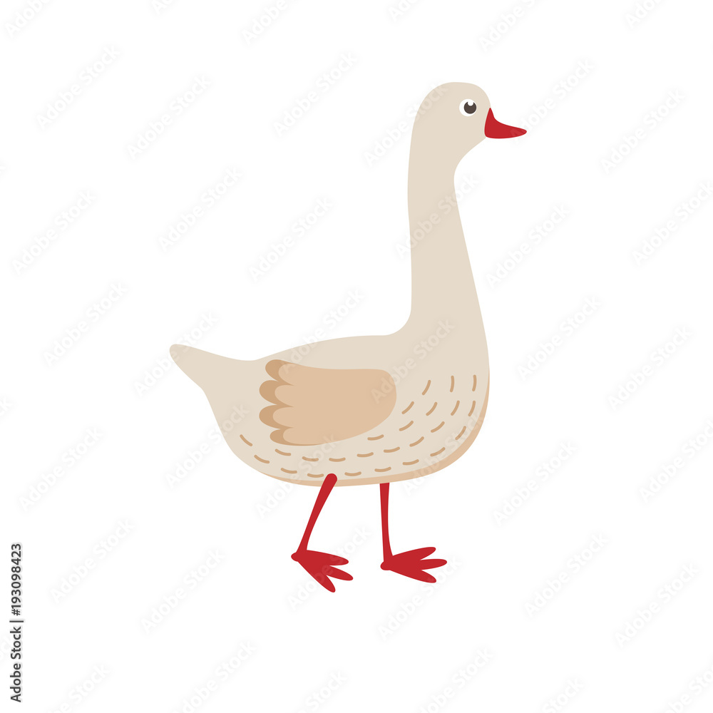 Cute goose vector flat illustration isolated on white background. Farm ...