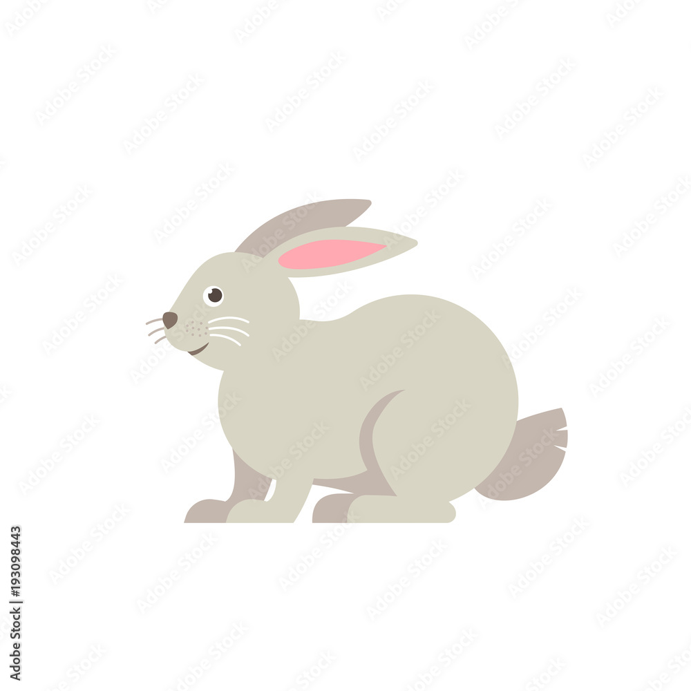 Rabbit vector flat illustration isolated on white background. Cute farm ...