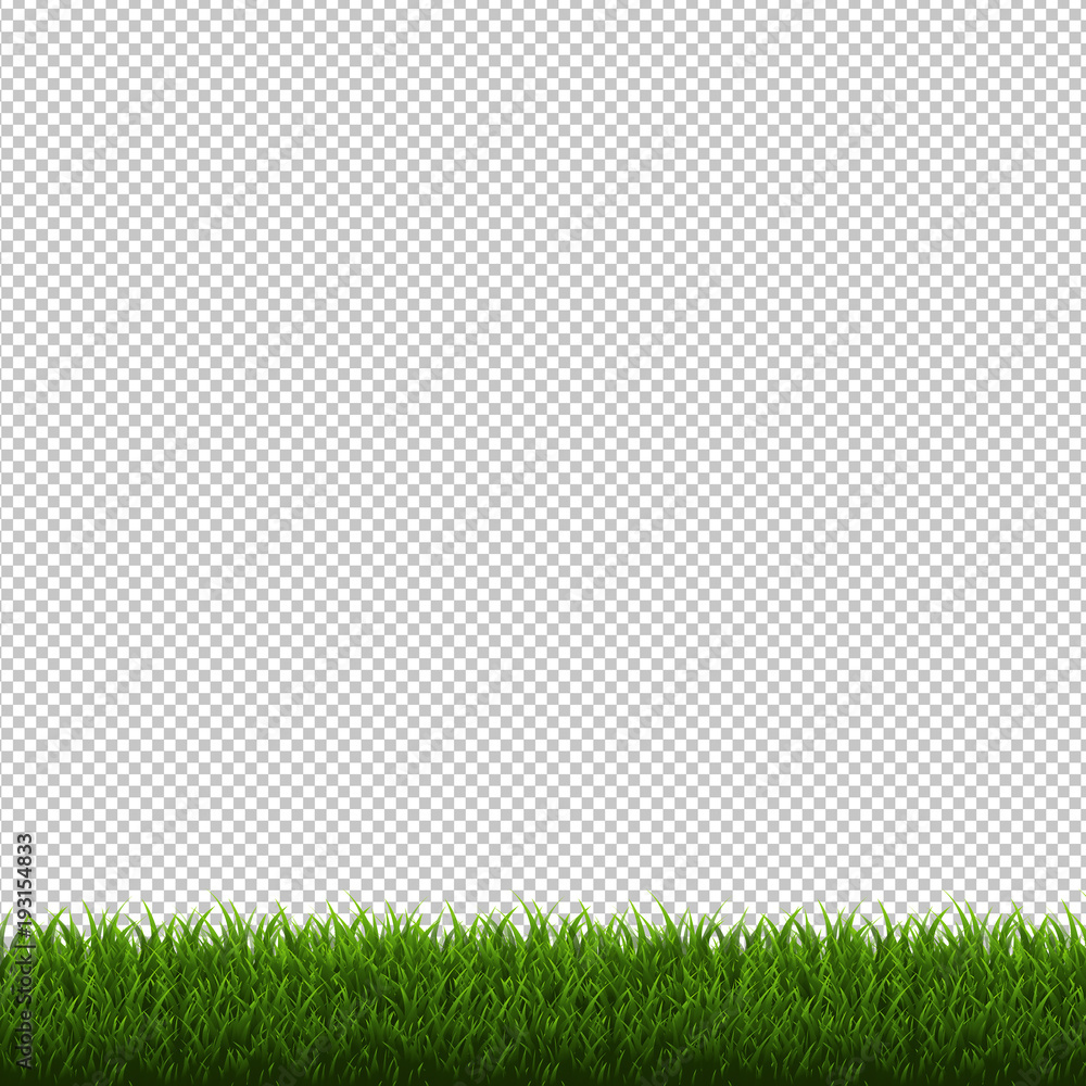 Grass Border Isolated Transparent Background Stock Vector | Adobe Stock