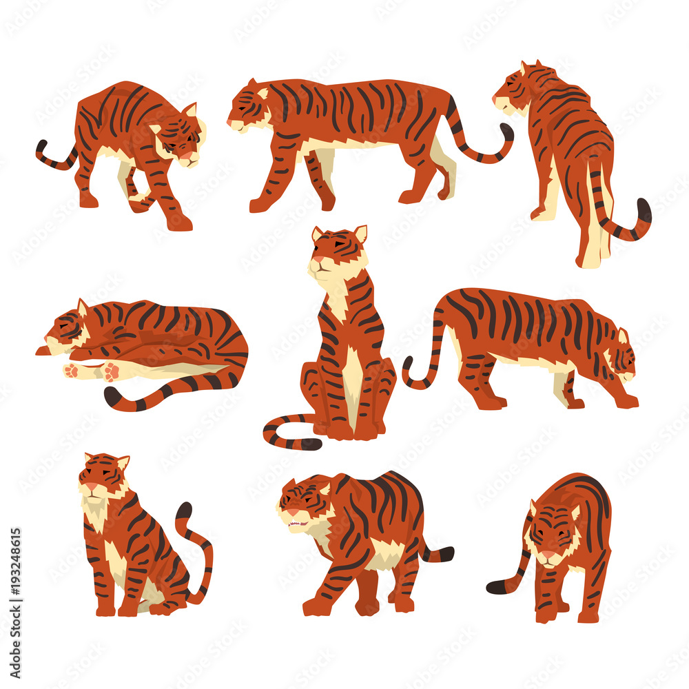 Powerful tiger in different actions set of cartoon vector Illustrations ...