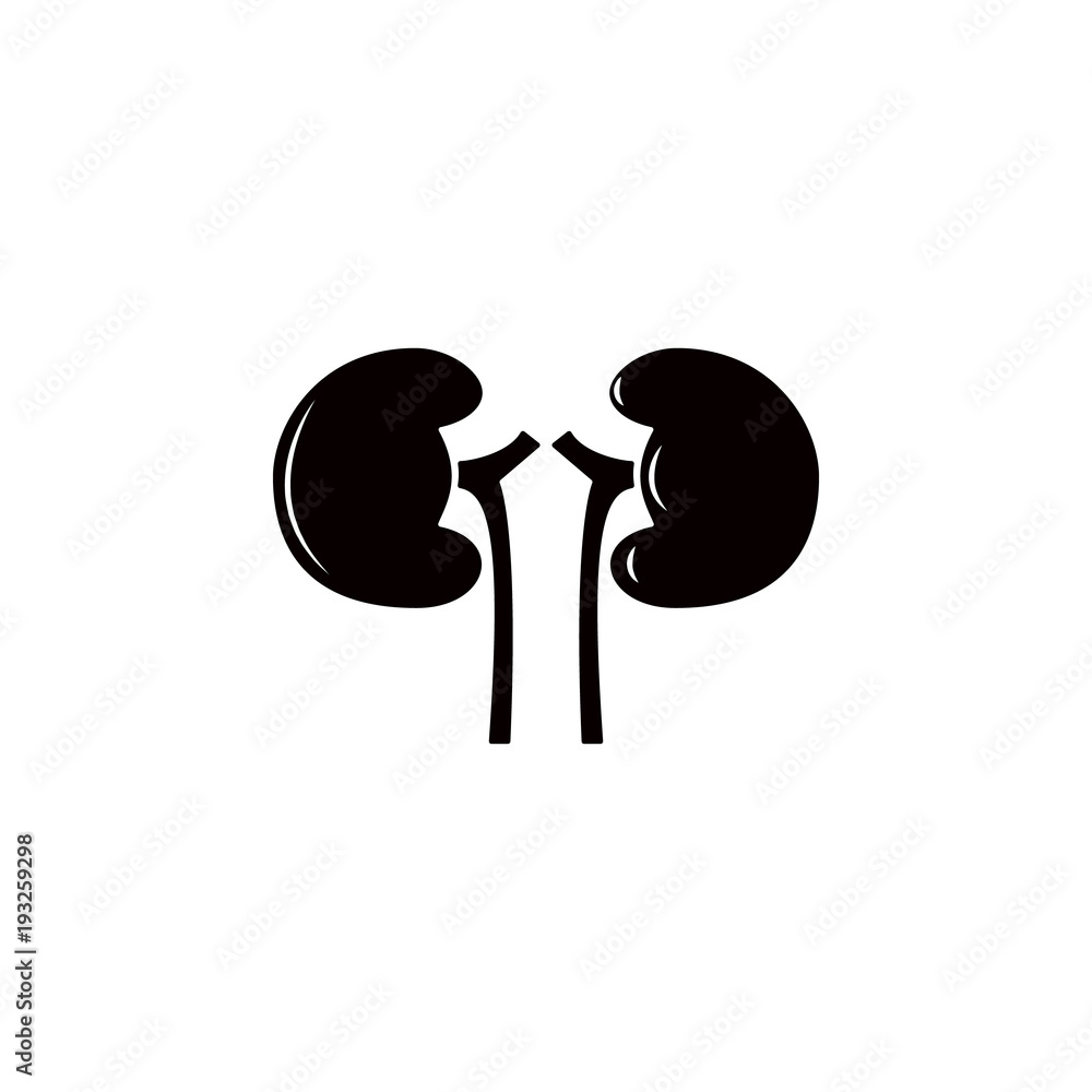 human kidney organ icon. Detailed icon of parts of human organs icon ...