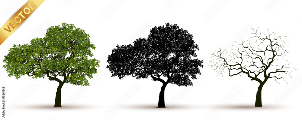tree with a realistic Stock Vector | Adobe Stock