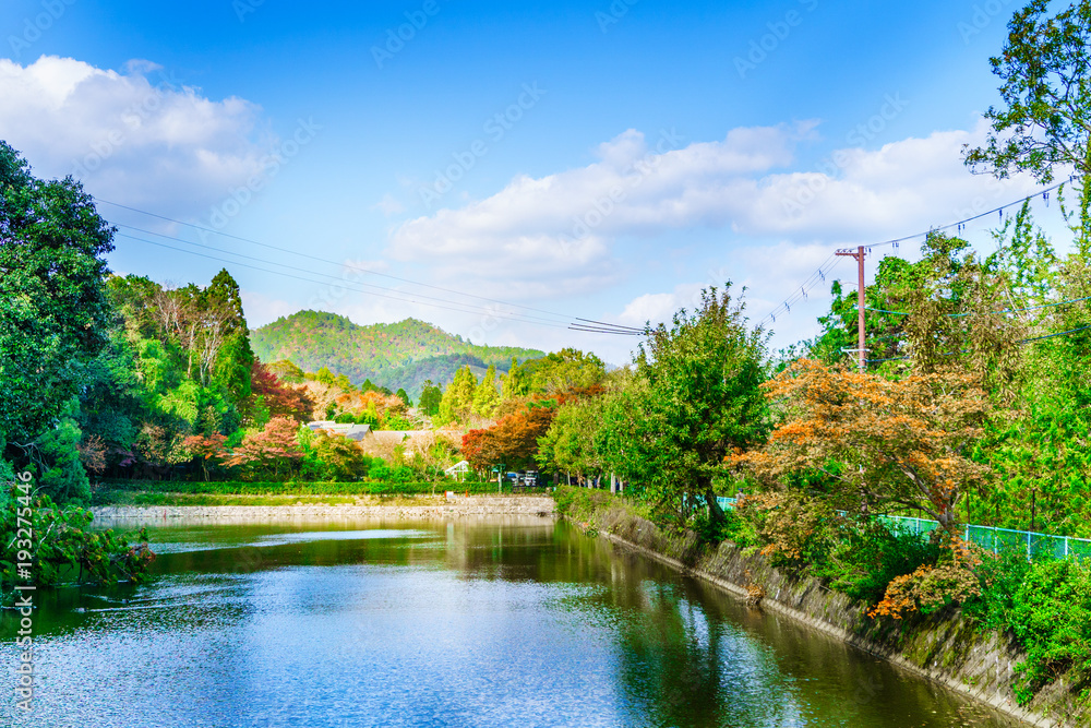 Beautiful garden landscape with blue cloudy sky and blue lake at ...
