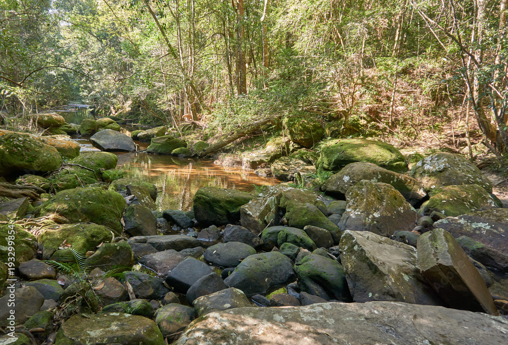 rock over the waterway. Beauty in the nature. Tropical rainforest in ...